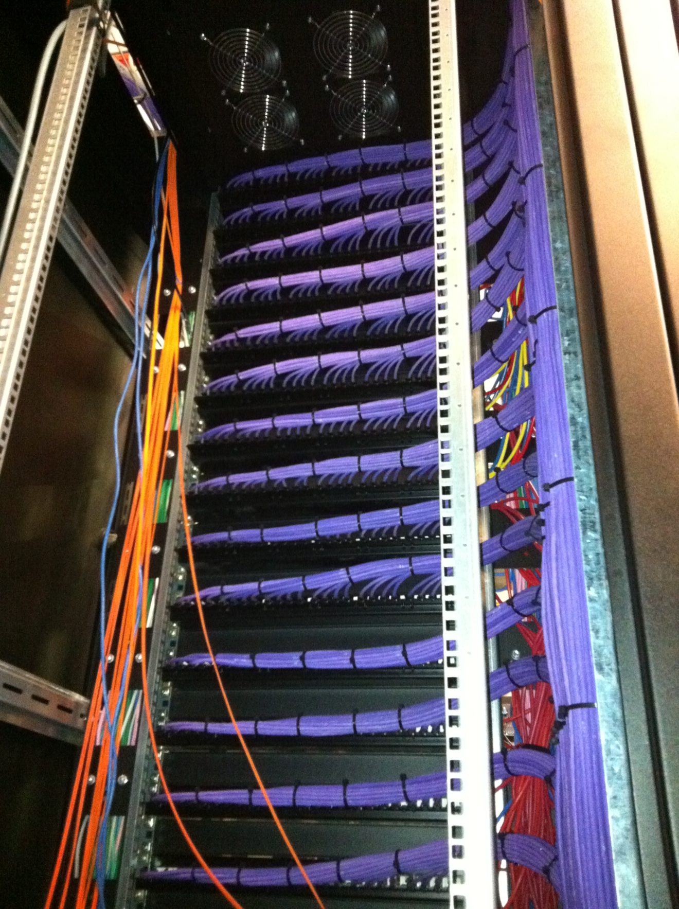 Tidy Purple Network Cables Raymond Tec