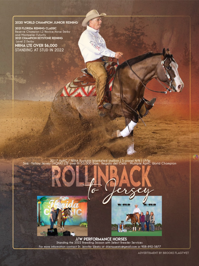 Horse Show High Point Award Winners – Appaloosa News